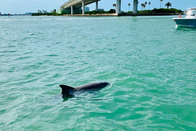 Clearwater Beach Private Pontoon Boat Tour for Six - Exciting Itinerary Options
