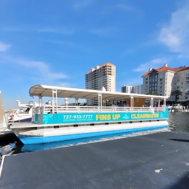 Clearwater Beach: Sunset and Harbor Lights Cruise - Final Thoughts