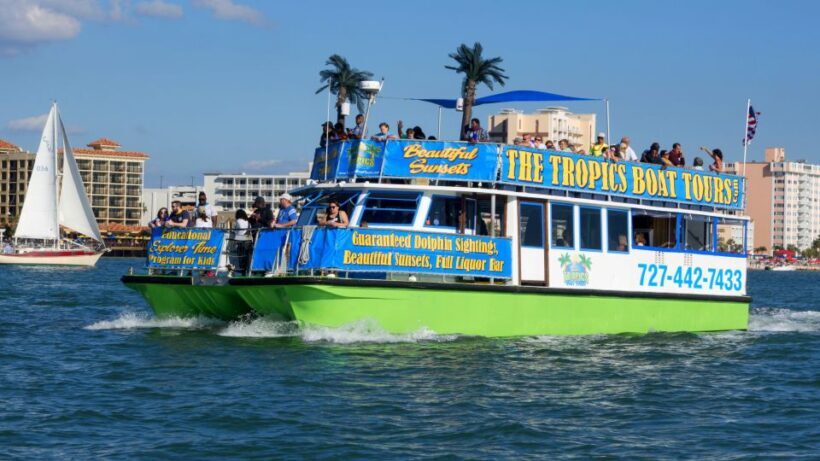 Clearwater: Cruise with Guaranteed Dolphin Sightings - An In-Depth Look at the Clearwater Dolphin Cruise