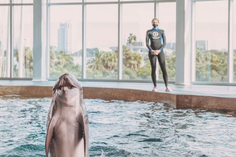 Clearwater: Eco-Certified Marine Aquarium General Admission - How the Tour Stacks Up in Value