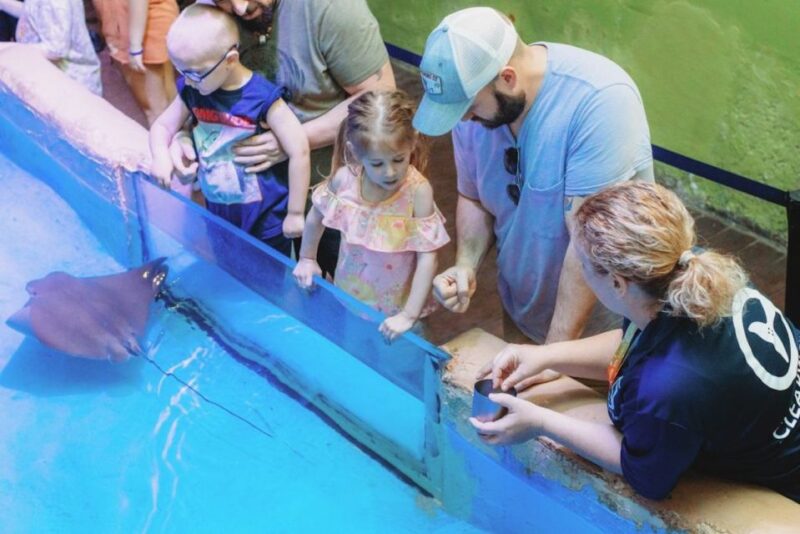 Clearwater: Eco-Certified Marine Aquarium General Admission - Frequently Asked Questions (FAQs)