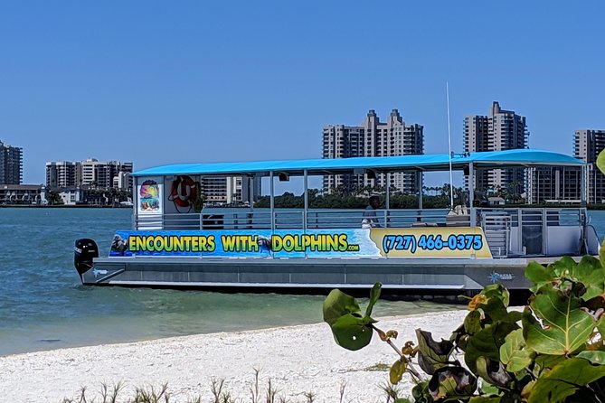 Clearwater Encounters with Dolphins Tour - Who Is This Tour For?