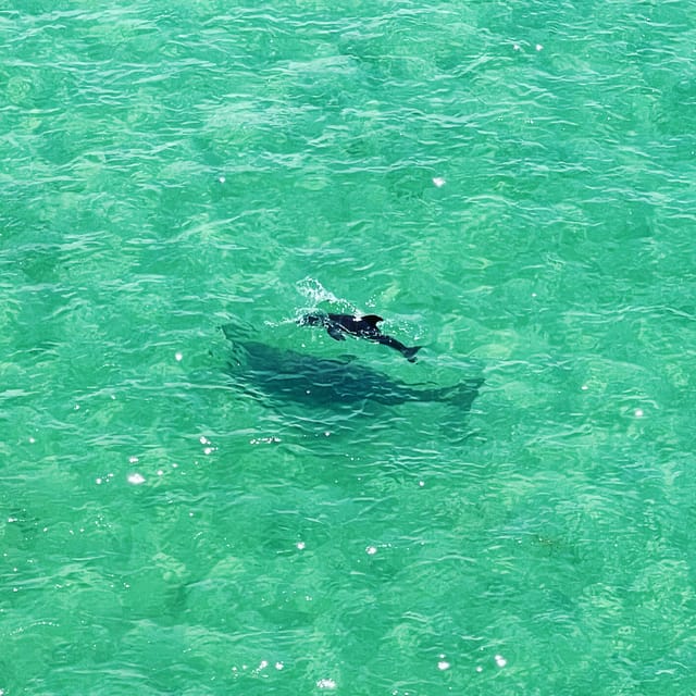 Clearwater: Guided Clear Kayaking Tour - The Practical Side: Details and Logistics