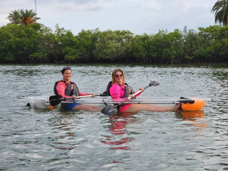 Clearwater: Guided Clear Kayaking Tour - Authentic Experiences and Authenticity