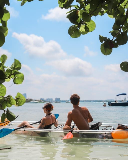 Clearwater: Guided Clear Kayaking Tour - An In-Depth Look at Clearwater’s Guided Kayaking Tour
