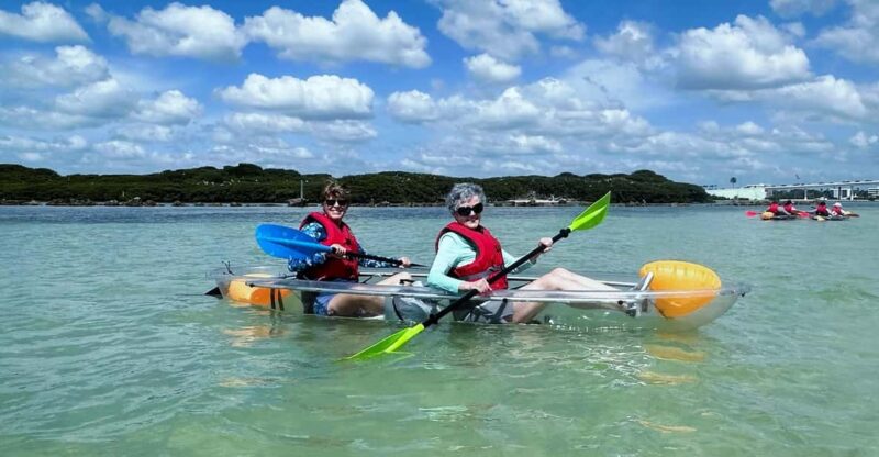 Clearwater: Guided Clear Kayaking Tour - FAQs about the Clearwater Guided Clear Kayaking Tour