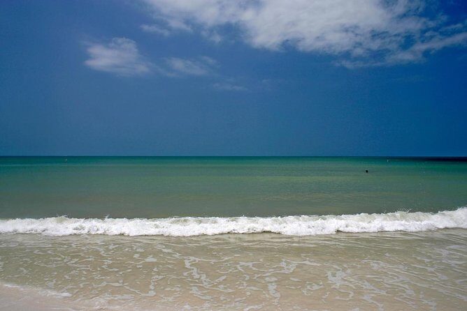 Clearwater Inshore Fishing Charter - An In-Depth Look at the Clearwater Inshore Fishing Charter