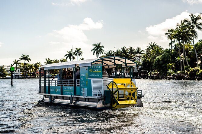 Clearwater Island Hop and Dolphin Watch with Swimming - Concluding Thoughts: Who Will Love This Tour?
