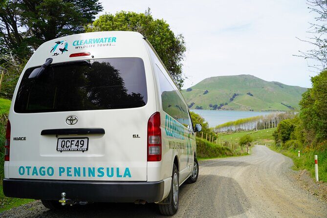 Clearwater Private Penguin & Wildlife Tour from Port Otago (5hrs) - Final Thoughts