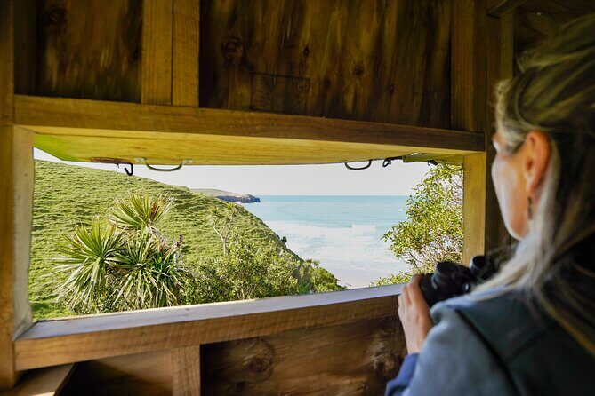 Clearwater Private Penguin & Wildlife Tour from Port Otago (5hrs) - FAQs