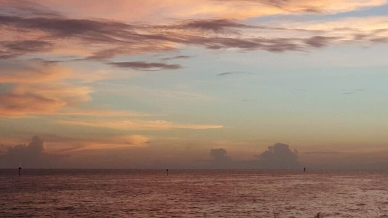 Clearwater: Sunset Celebration Cruise - A Detailed Look at the Sunset Celebration Cruise