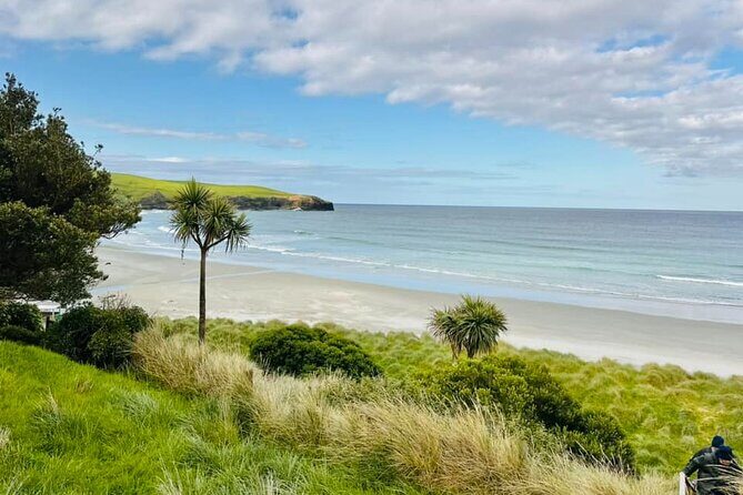 Clearwater Wildlife Tours (small group 10max) Otago Peninsula - The Sum Up