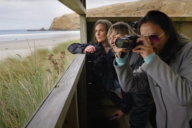 Clearwater Wildlife Tours (small group 10max) Otago Peninsula - FAQ