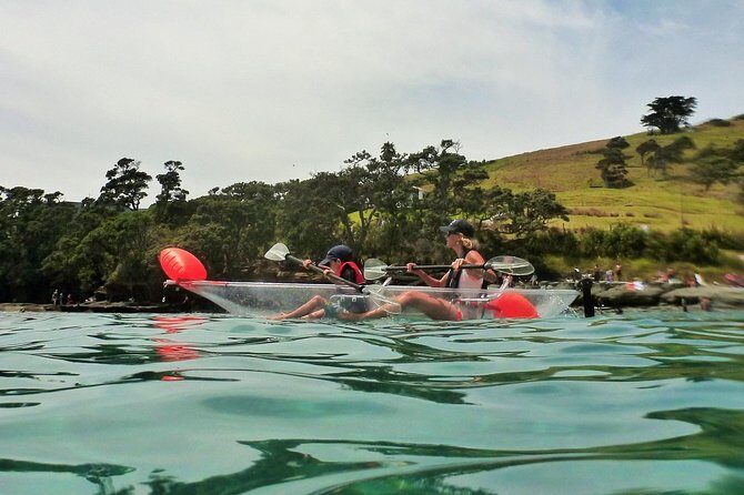 Clearyak hire at Goat Island Marine Reserve - Final Thoughts: Is It Worth It?