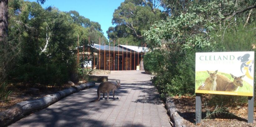 Cleland Wildlife Park Experience with Mount Lofty Summit - A Closer Look at the Tour Itinerary