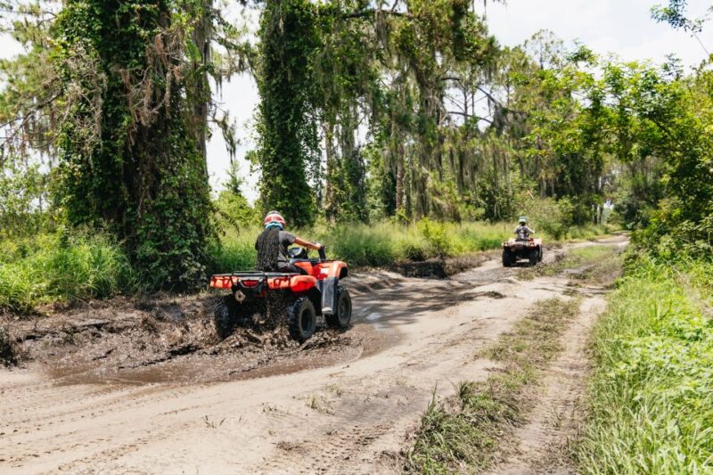 Clermont: Single-seat ATV Quad Bike Adventure - Key Points