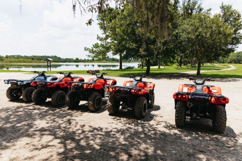 Clermont: Single-seat ATV Quad Bike Adventure - Who Will Enjoy This Adventure?