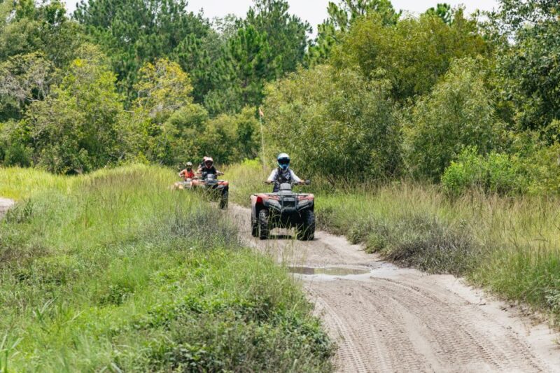 Clermont: Single-seat ATV Quad Bike Adventure - The Sum Up