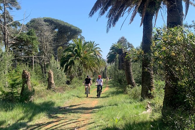 Cliff Top Ride - Participant Requirements