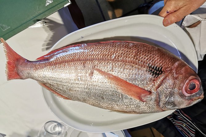 CLIFFS, GRILLED FISH and TXAKOLI WINE - Private Gastronomic Adventure - Final Thoughts: Who Will Love This Tour?