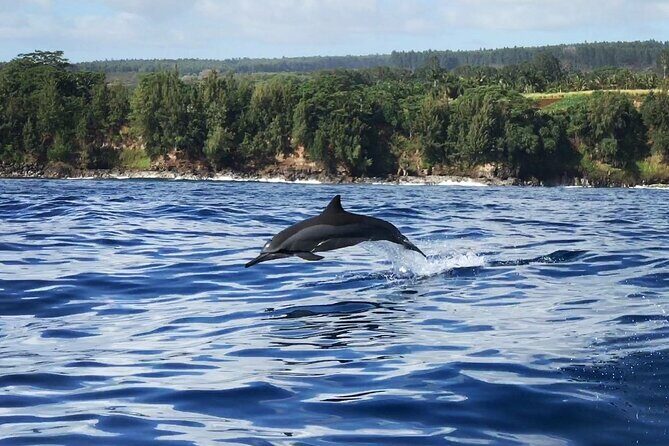 Cliff's of Hawai'i Onomea Waterfall Cruise - FAQ