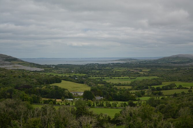 Cliffs of Moher and Burren Private Tour from Galway - The Return and Flexibility