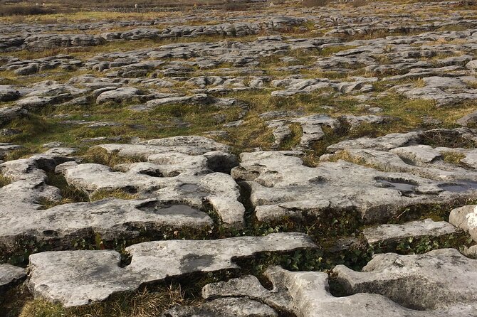 Cliffs of Moher and the Burren Private Tour - Who Will Love This Tour?
