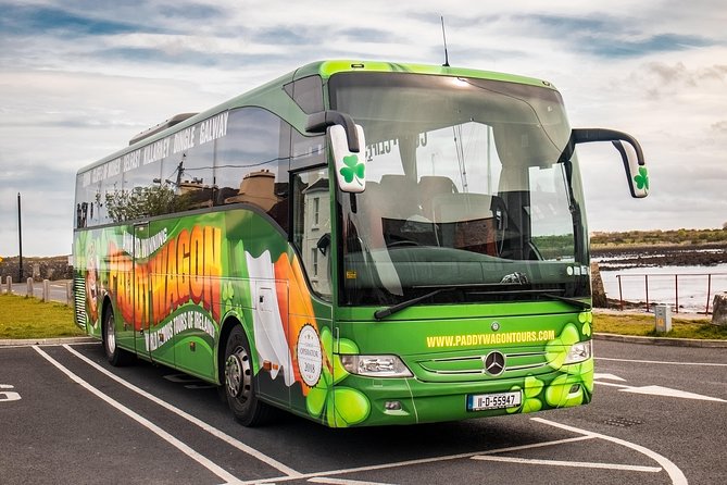 Cliffs of Moher Day Tour from Dublin: Including The Wild Atlantic Way - Who Should Consider This Tour?