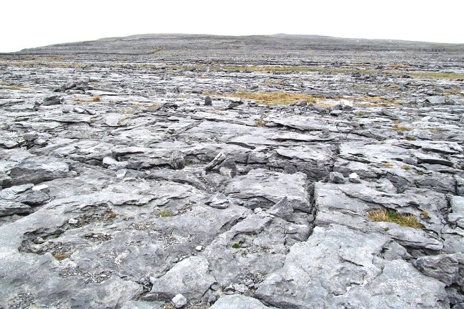 Cliffs of Moher, Galway - Private Shore Excursion - The Sum Up