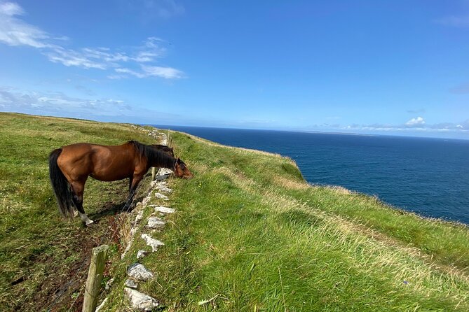 Cliffs of Moher Hiking Tour From Galway - Small Group - Inclusions and Cancellation Policy