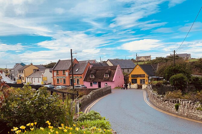 Cliffs of Moher Private Day Tour from Galway - The Personal Touch and the Guide’s Role