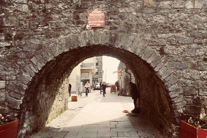 Cliffs of Moher Tour in Spanish - Traveler Feedback and Experiences