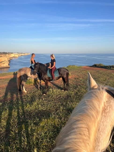 Cliffside Horseback Riding in the Algarve - The Sum Up: Why You Should Consider This Experience