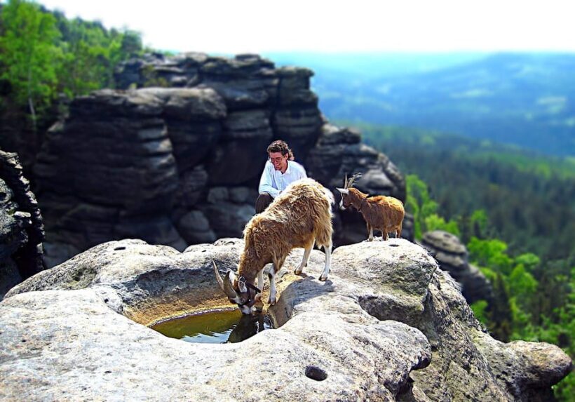 Climb the mountains together with goats - Key Points