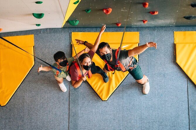 Climbing on Pico del Toro, the largest wall in the Caribbean toroverde Urban Park - The Value of Climbing Pico del Toro
