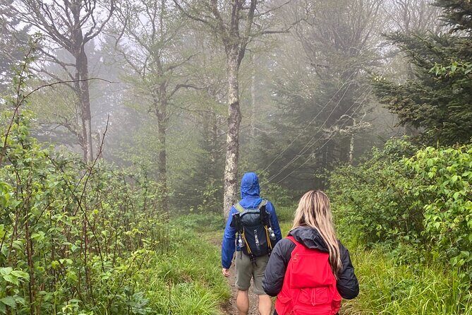 Clingmans Dome Hike - An In-Depth Look at the Clingmans Dome Hike Experience