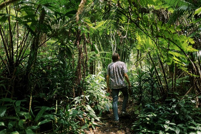 Cloud Forest Sanctuary Jungle Tour - Key Points