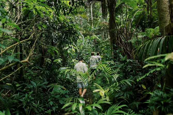 Cloud Forest Sanctuary Jungle Tour - Additional Tour Information