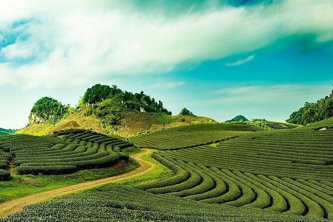 Cloud Hunting and the Glow of Dawn in Da Lat - Exploring Cau Dat Green Tea Hill and Wind Turbines