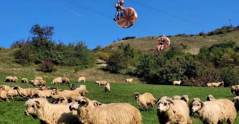 Cluj: Outdoor Activities Day Trip with Zip Line and Hike - Key Points