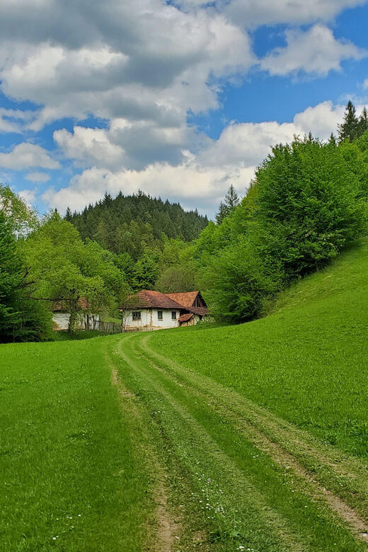 Cluj to Rosia: Day Trip to Ferrata and pittoresque country - An Introduction to the Rosia Day Trip
