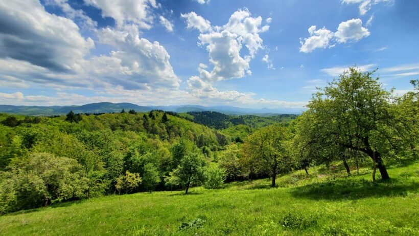 Cluj to Rosia: Day Trip to Ferrata and pittoresque country - What Sets This Tour Apart?