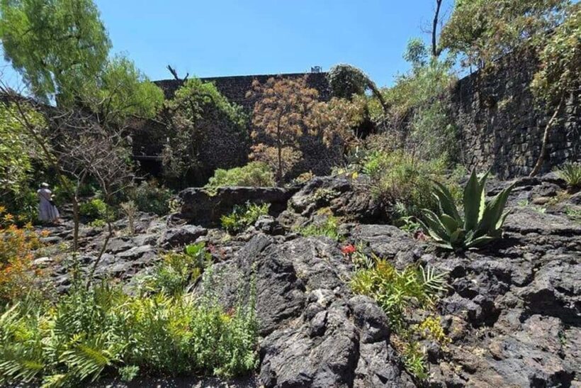 CMDX: Luis Barragan Legacy Exclusive Tour at Casa Pedregal - What’s Included and What’s Not
