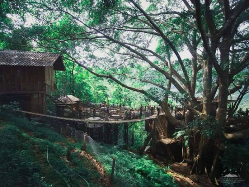 CNX: Trekking & Villager living in forest, tea& coffee farm - Practical Considerations