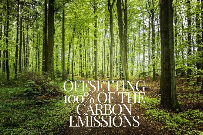 CO2-Offset | Minivan Arrival Transfer from Krakow KRK to Krakow - The Sum Up