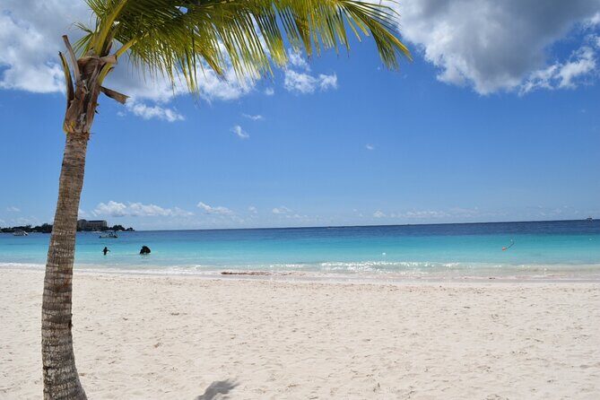 Coach charter in Barbados for 3 to 4 hours for up to 20 persons - Deep Dive: What to Expect on Your Customized Barbados Tour