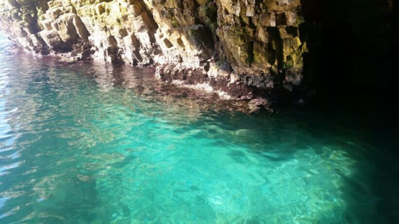 Coast and caves of Polignano:boat tours,drinks,swimming,music and fun - What’s Included and What’s Not
