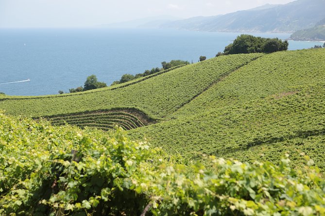 Coast, fish and txakoli wine - The Itinerary: What You Can Expect