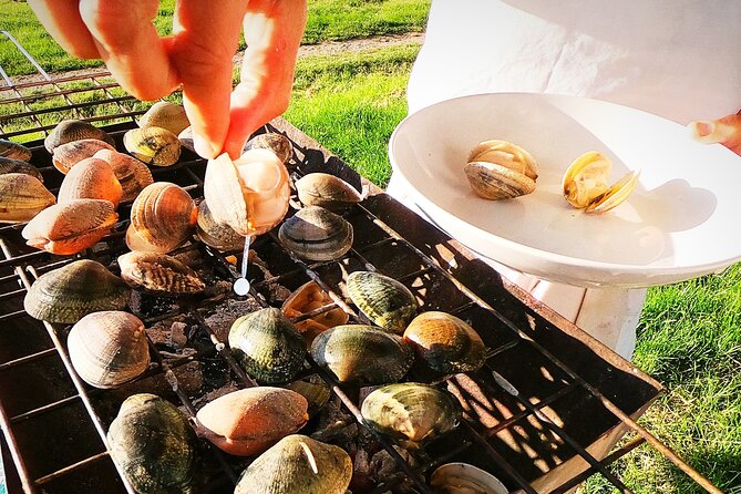 Coast, fish and txakoli wine - Who Will Love This Tour?