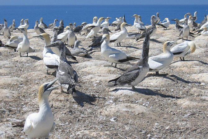 Coast to Coast Private Eco Tour - The Itinerary in Detail